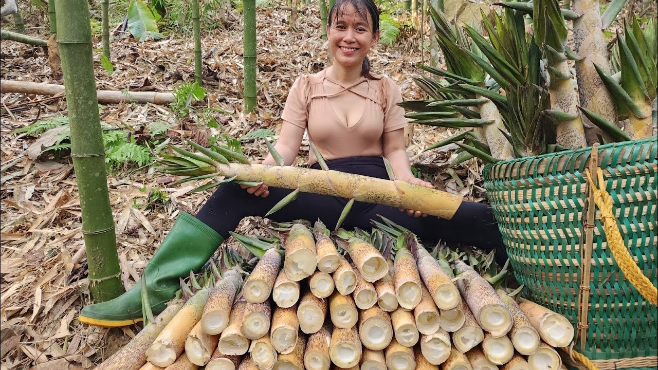 I harvest bamboo shoots to make chili bamboo shoots - YouTube