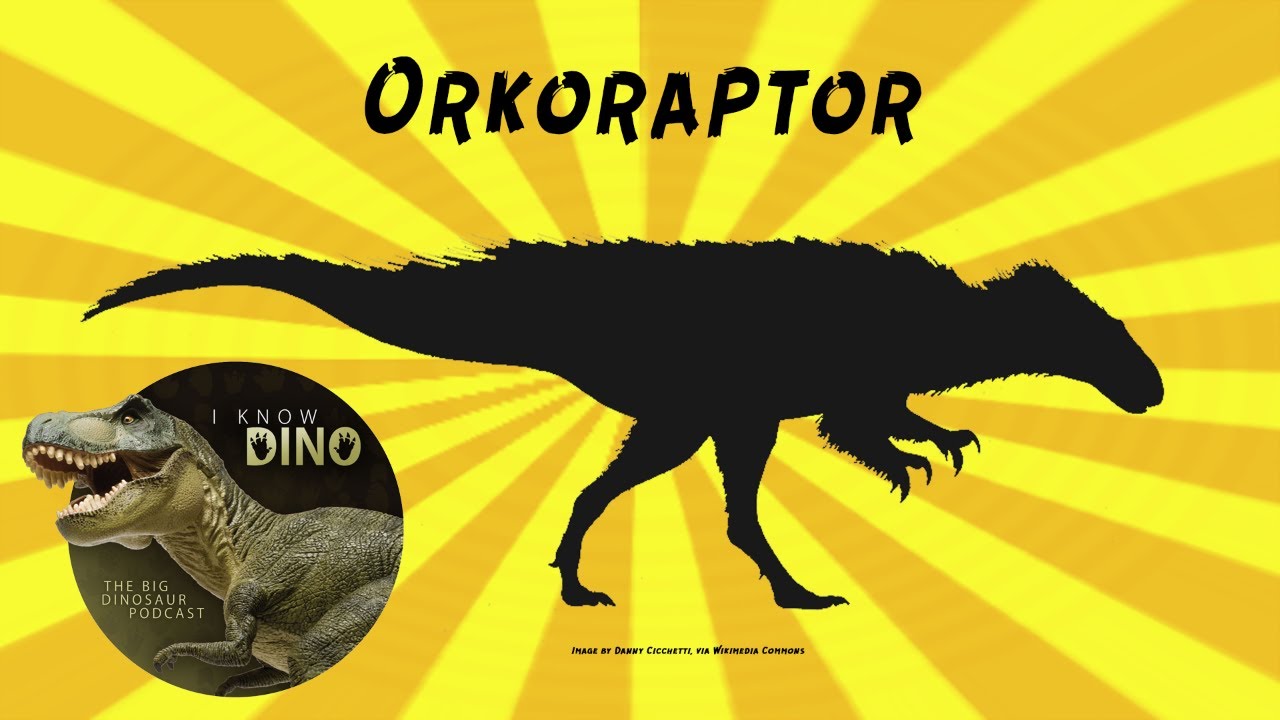Orkoraptor: Dinosaur of the Day - YouTube