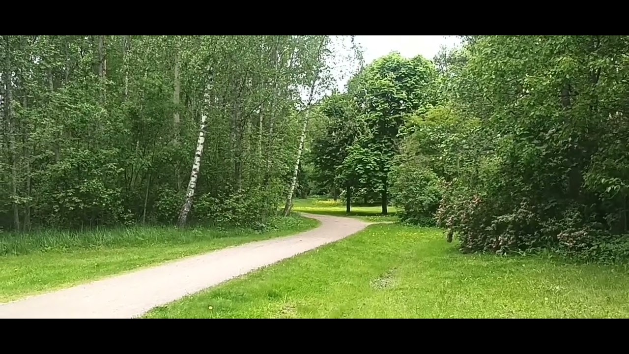 VANHA SUOMI VASTAAN UUSI SUOMI - YouTube