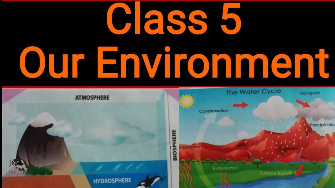Class 5 Our Environment - YouTube