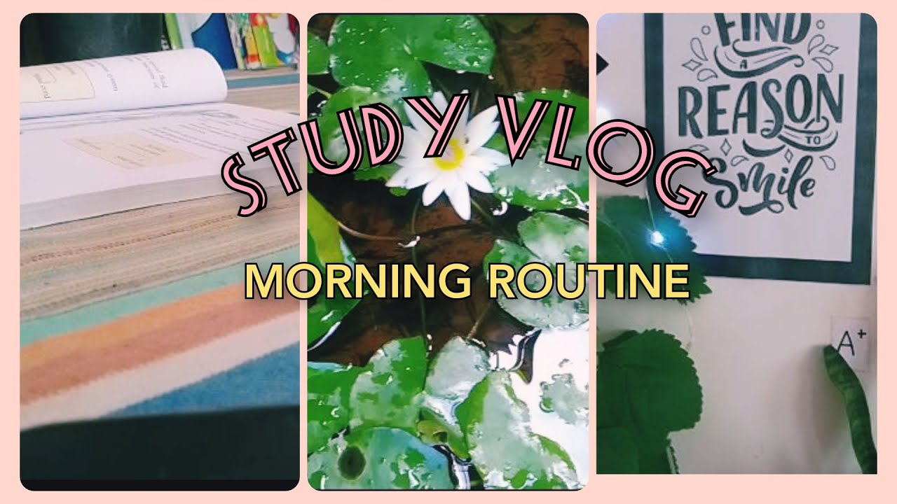 Study vlog📚⏰☘️|තවත් දවසක උදෑසන කාලය☘️⏰|study ☺️☘️📚 ️ - YouTube