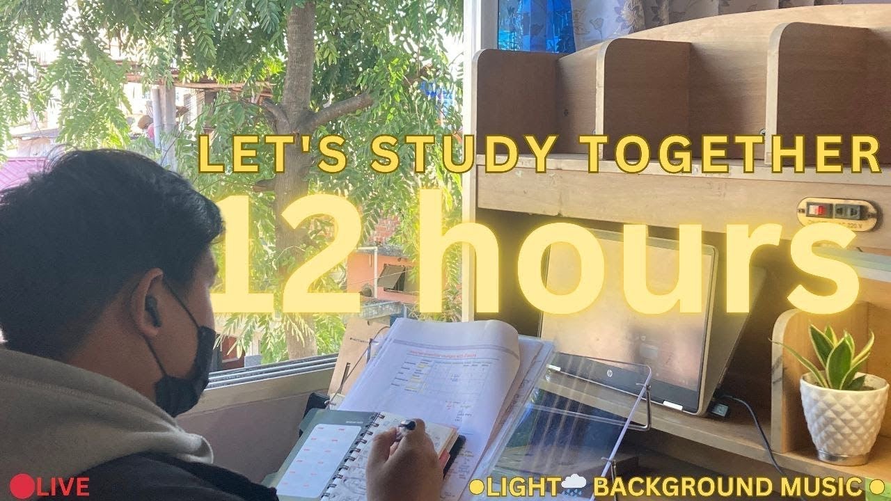 🔴LET's STUDY TOGETHER for 12 HOURS | DAY 99/120 |3 hours break| LIGHT ⛈ ...