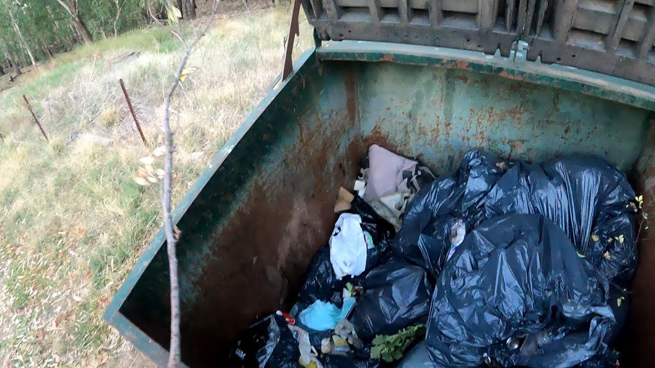 Dumpster Diving Part 1 Sticks be long in the bush - YouTube
