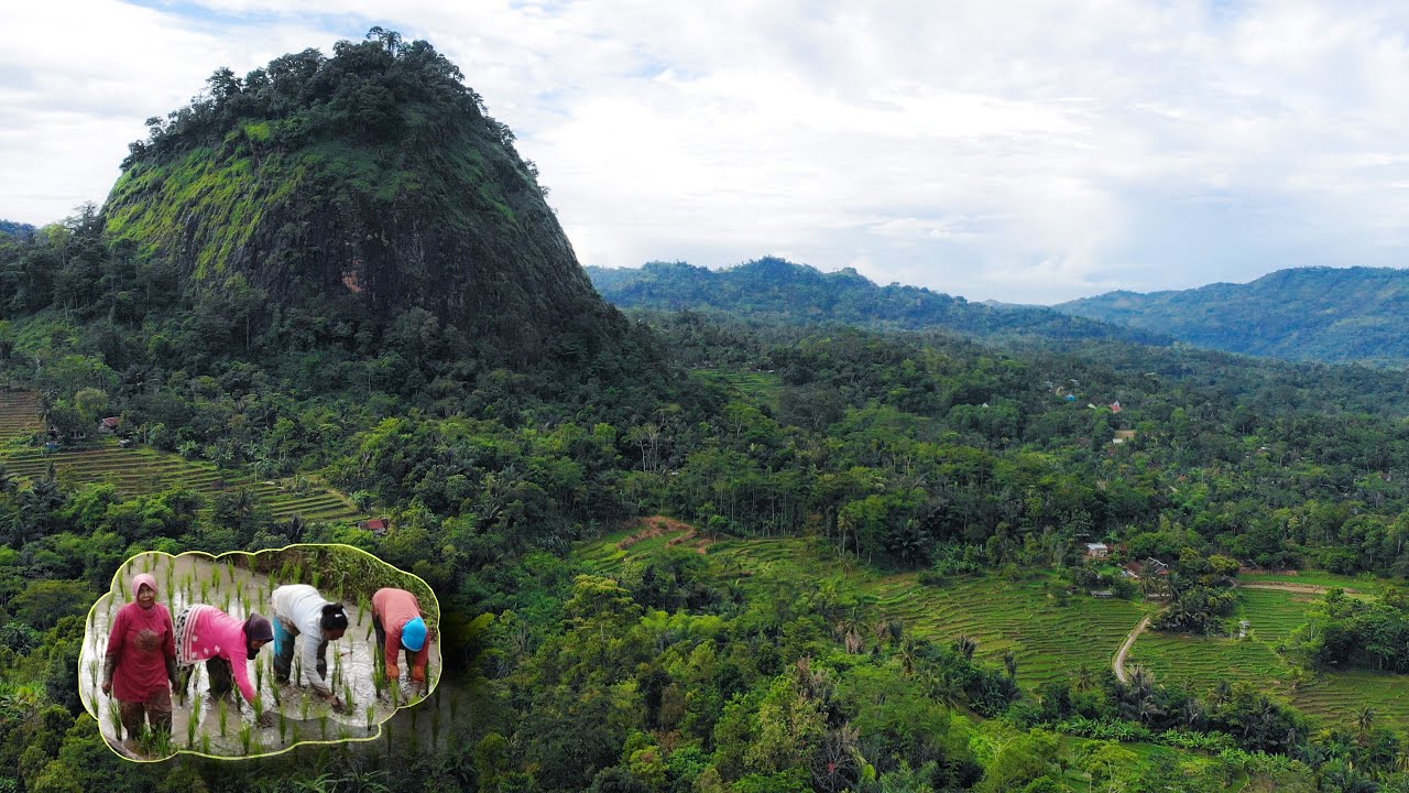 Suasana Pedesaan Desa Cikarang Cisewu, Garut Selatan. Pemandangan Alam ...