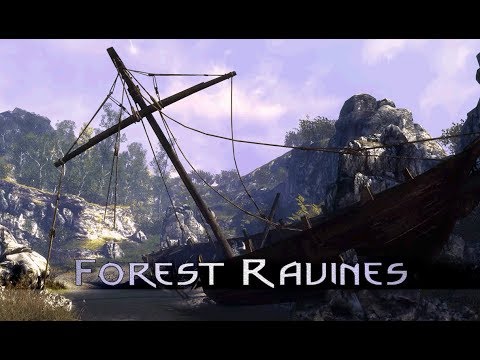 The Witcher 2 - Forest Ravines (1 Hour of Ambience) - YouTube