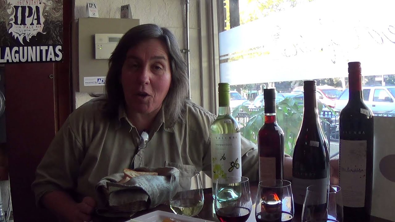 Intro Jane Ferrari at Wine Affairs in San Jose, California, USA - YouTube