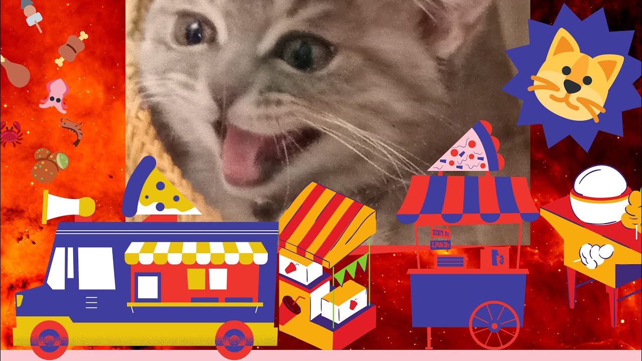 #qqcatdiary#cattus#conmèo#猫#cat This is Mr. QQ cat, and its family, the ...