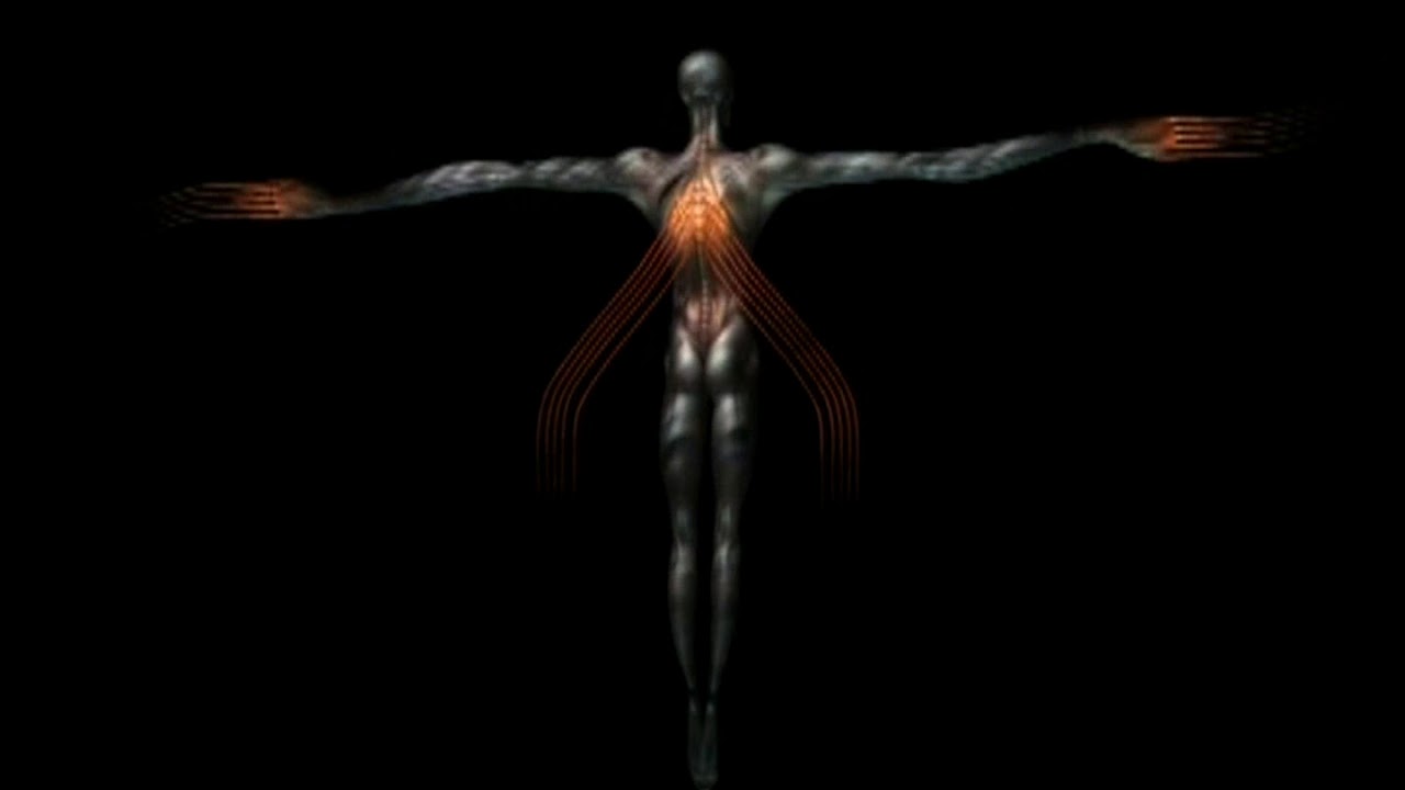 Tool - Live · Paris, France · 6/5/2001 [HD] - YouTube