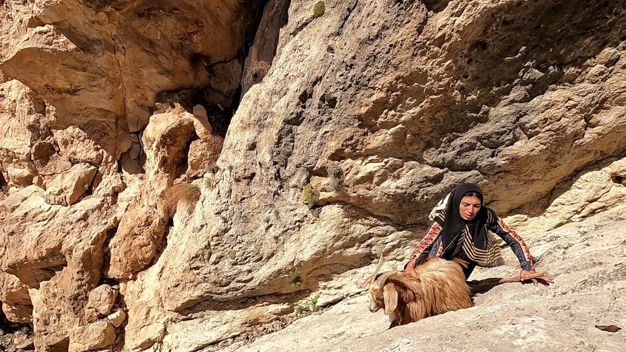Iranian Nomadic Women: Brave Sheep Herders in Impassable Mountains ...