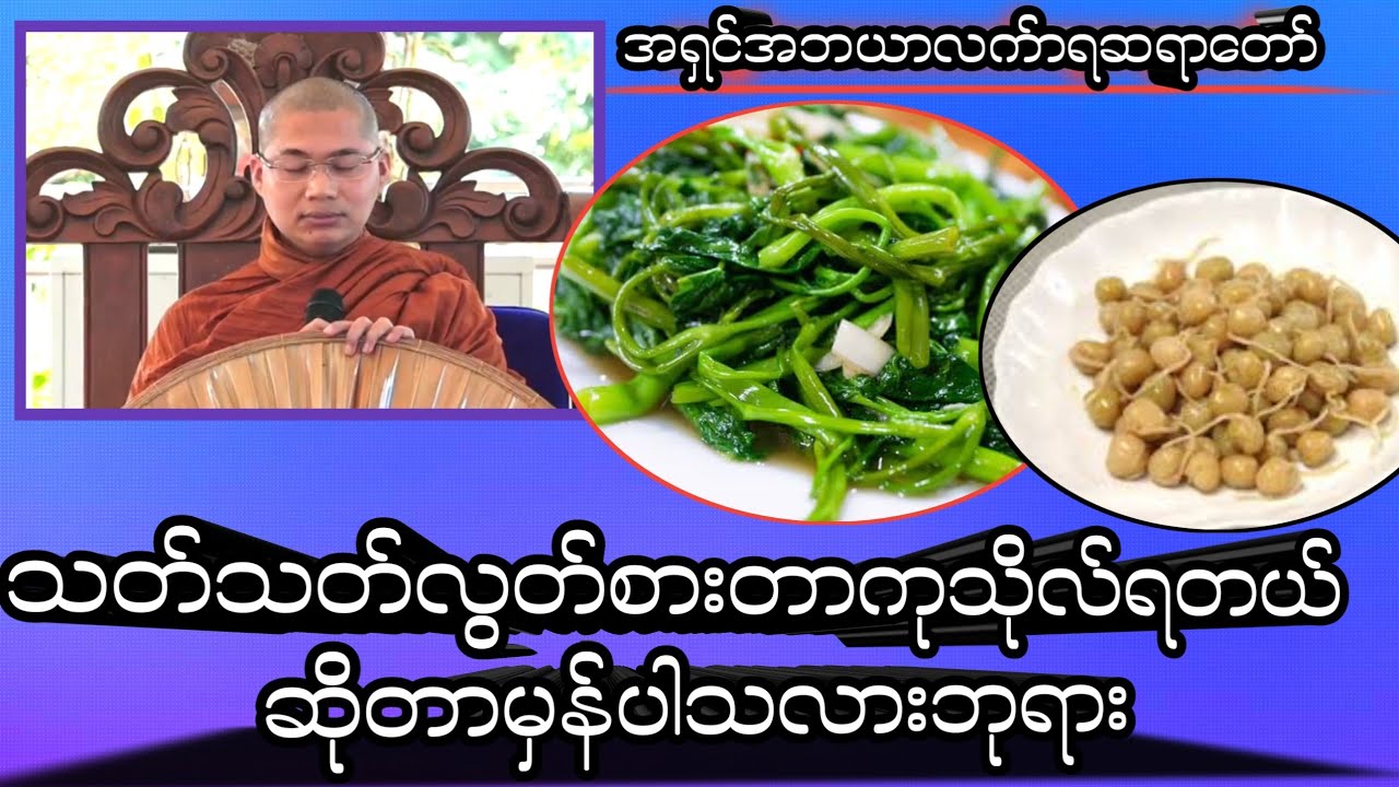 သတ်သတ်လွတ်စားတာကုသိုလ်ရတယ်ဆိုတာမှန်ပါသလားဘုရား တရားအမေးအဖြေများ