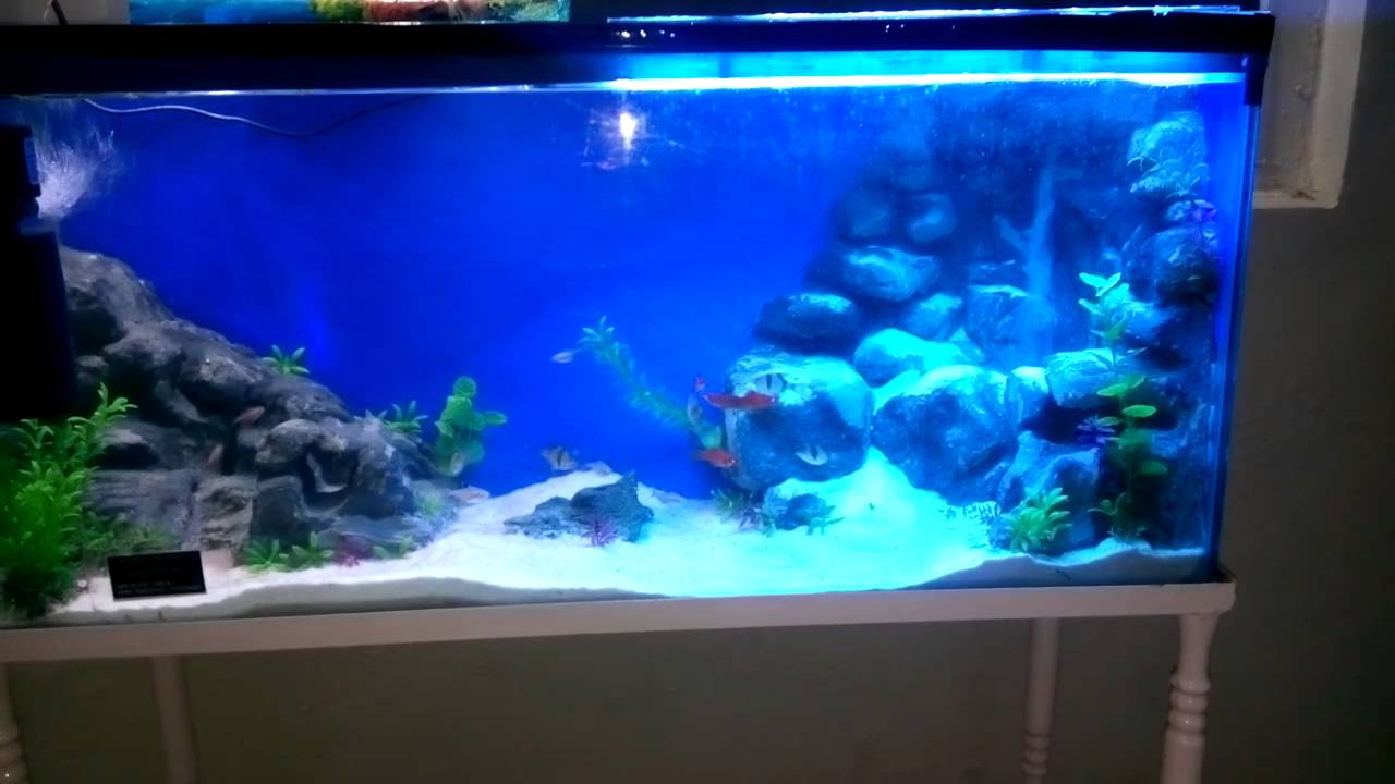 Diy waterfall aquarium - YouTube