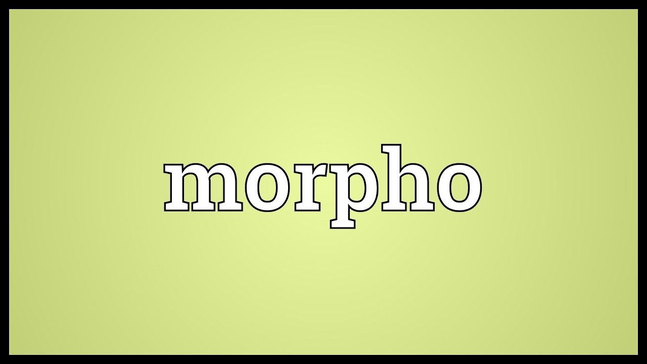 Morpho Meaning - YouTube