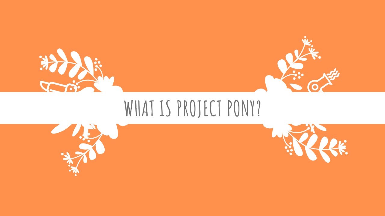 WHAT IS PROJECT PONY? | THE WAY OF THE HORSE - YouTube