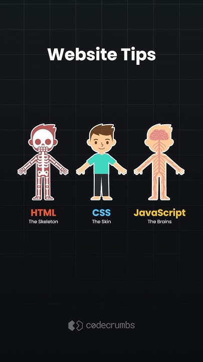 Website Structure - HTML, CSS, JavaScript | #html #css #javascript - YouTube