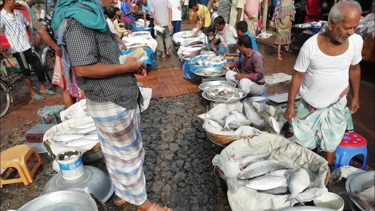 Fully Natural Fish Video | Amazing Big Fish Jumping | Fish Farming ...