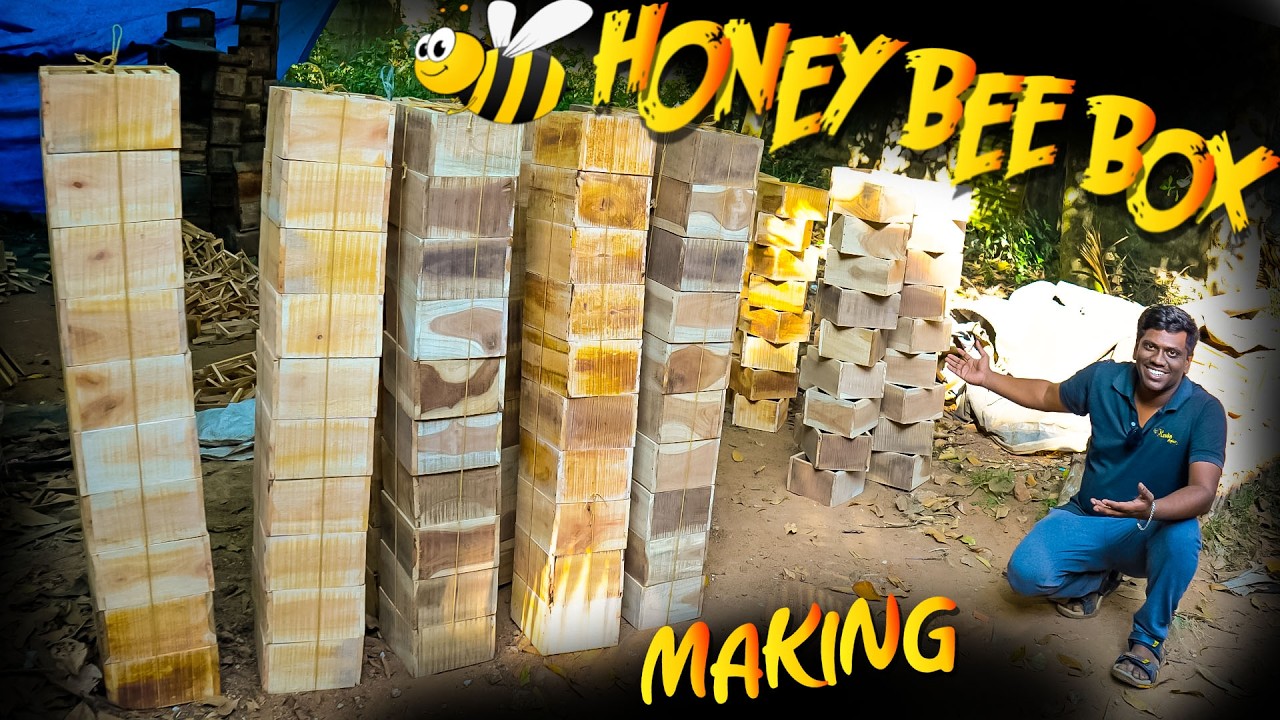 Honey box making | Bee Box | Village Honey Factory - YouTube