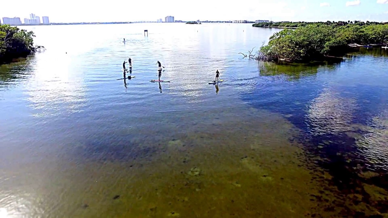 South Florida Paddle Munyon Island Eco Tour with Spotted Eagle Rays ...