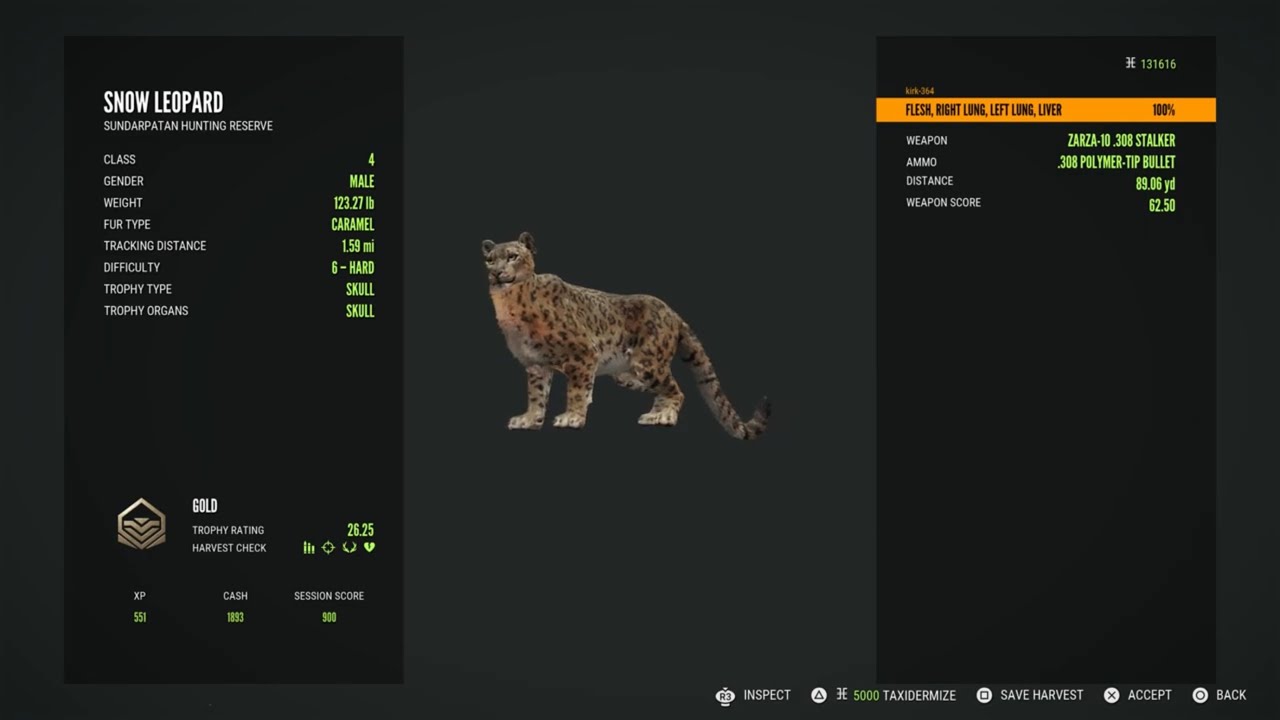 (Caramel Snow Leopard!) theHunter: Call of the Wild - YouTube