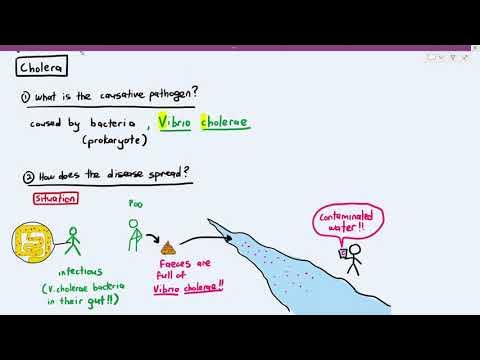 10-2 Cholera (Cambridge AS A Level Biology, 9700) - YouTube