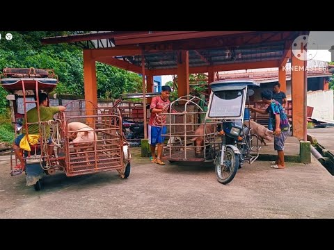 Mag Marites muna tayo. ( Buhay mag kakatay TV ) - YouTube