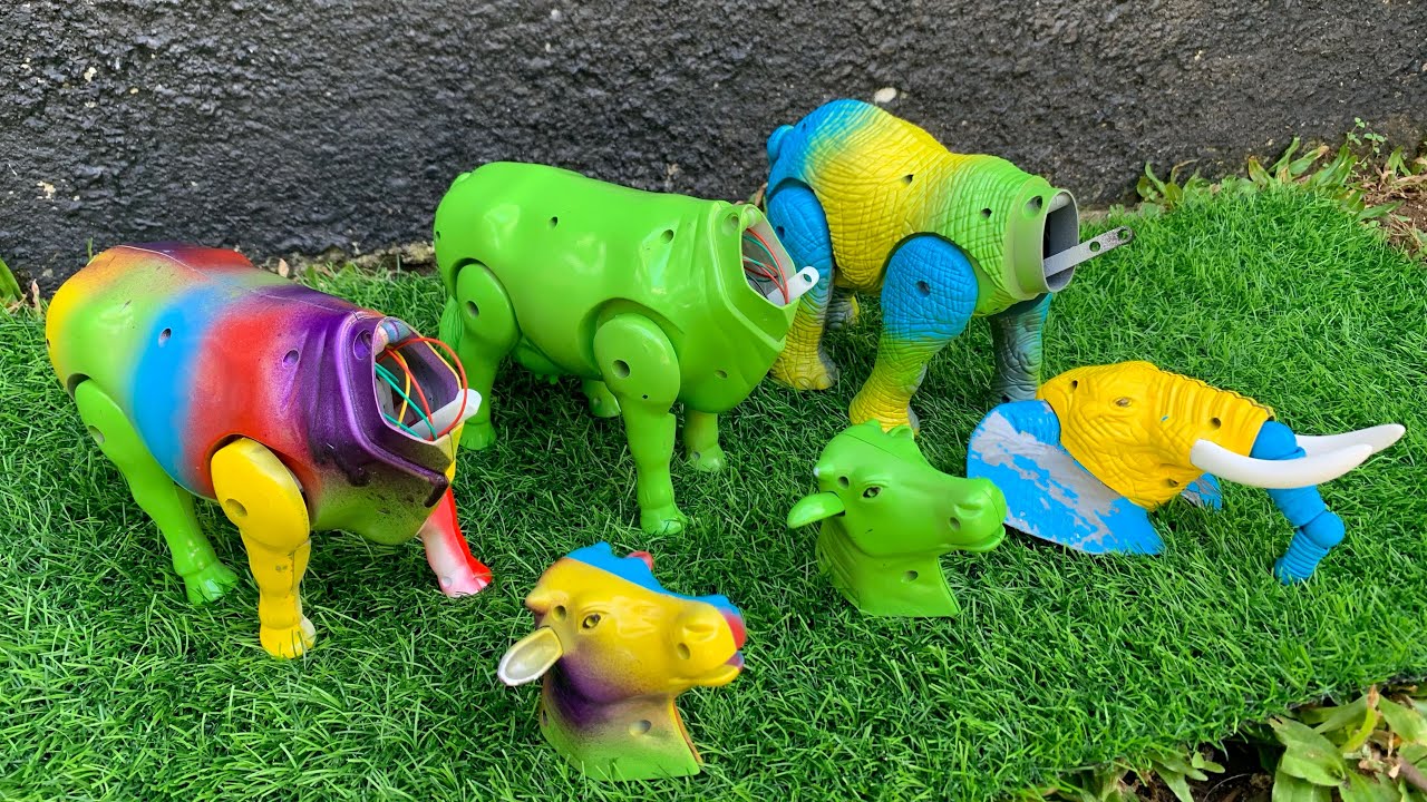 Mencari dan Merakit Mainan Sapi Moo, Sapi Warna Warni, Sapi Lucu ...