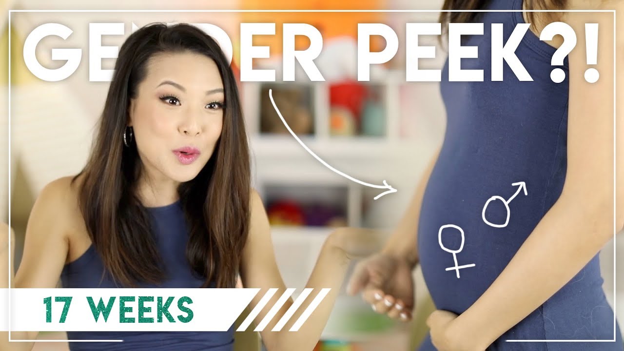 GENDER 1ST PEEK?! || Preggy Vlog Week 17 - YouTube
