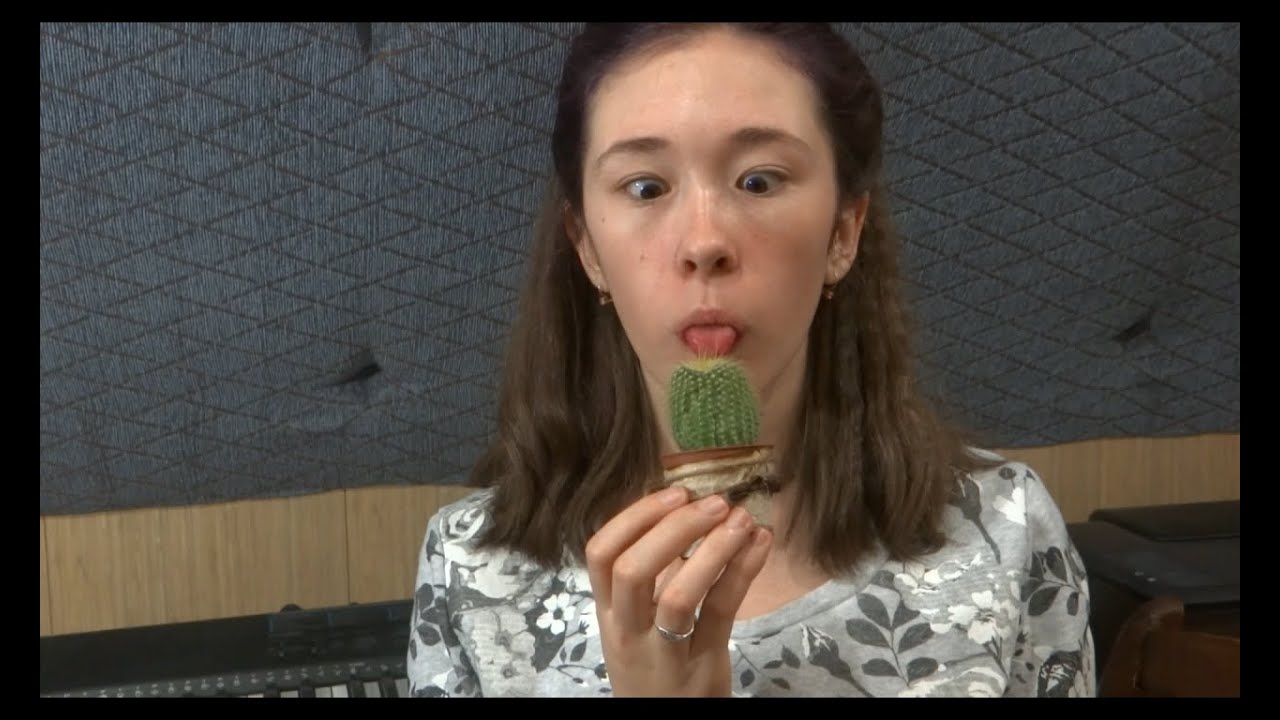 НОВЫЙ КАКТУС ДАКОТКИ / МИНИ-УХОД ЗА НИМ - YouTube