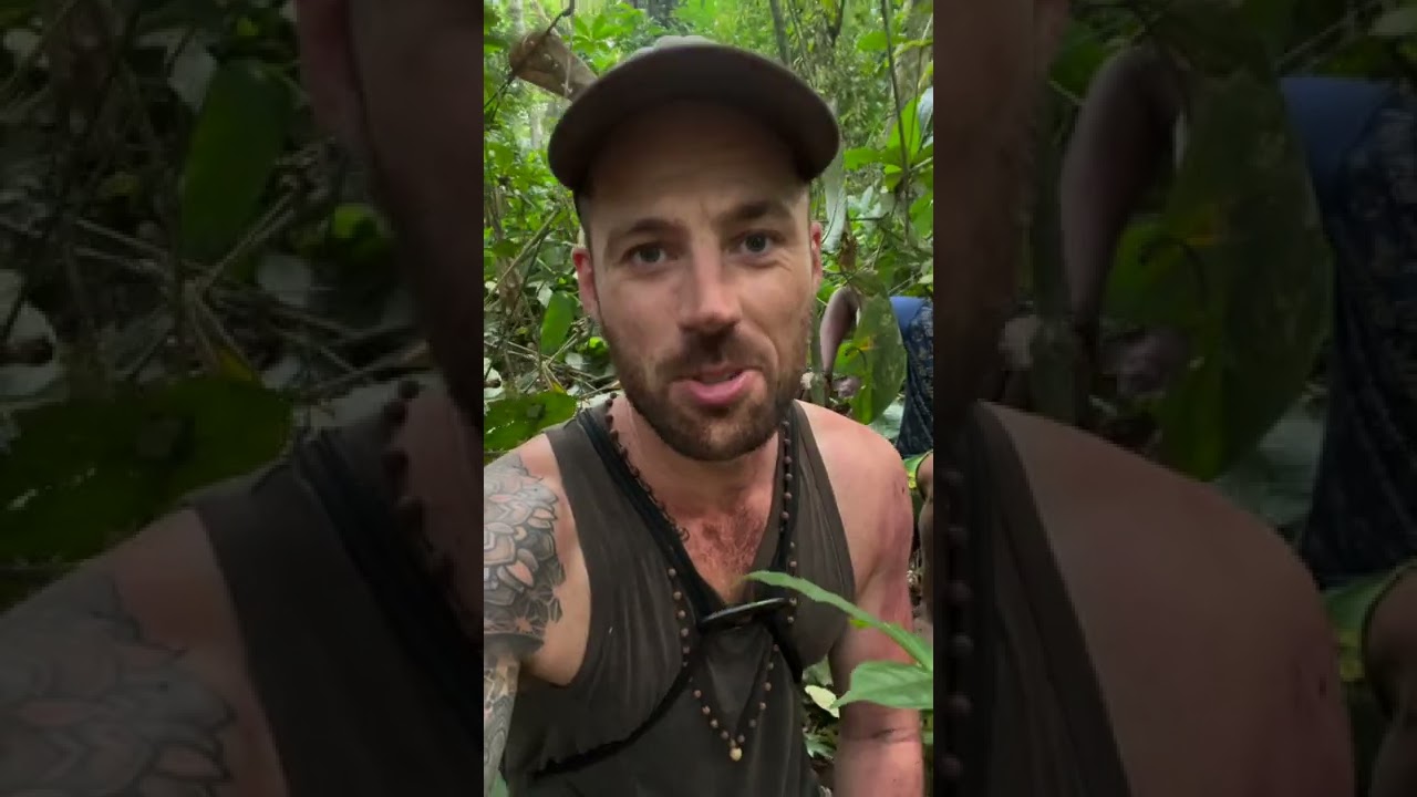 Hunting Jungle Rats with a Pygmy Tribe - YouTube