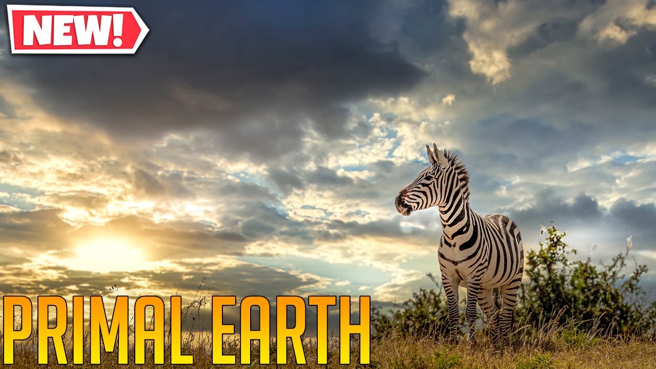 Upcoming Open World Animal Survival Game | Primal Earth - YouTube