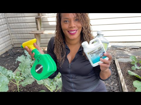 Fall / Winter Garden Tour And Pest Control Cabbage, Broccoli, Cauliflower Raised Bed Gardening 2022