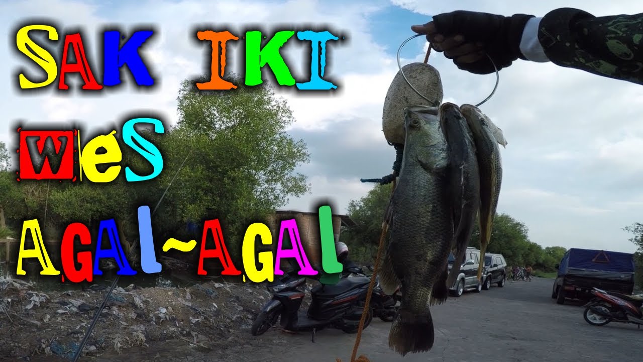 SPOT DI BAWAH POHON GARING GA PERNAH INGKAR JANJI - YouTube