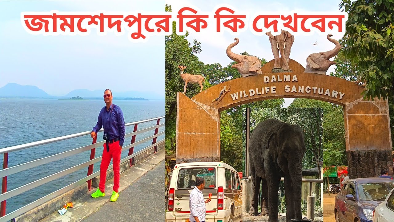 Tatanagar Tour Vlog||Dalma Wildlife Sanctuary Jamshedpur||Life With ...