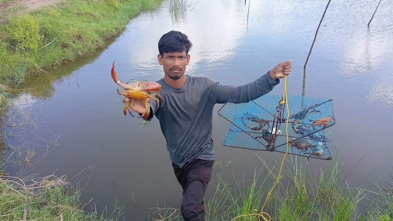 Wow best creative River Crab Trap using lran net in the lake Amazing ...