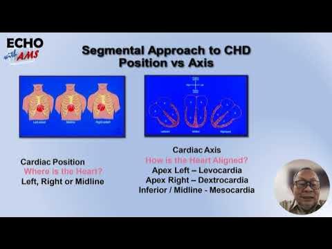 Pediatric Cardiology Series. Part 1 Sequential Segmental Analysis - YouTube