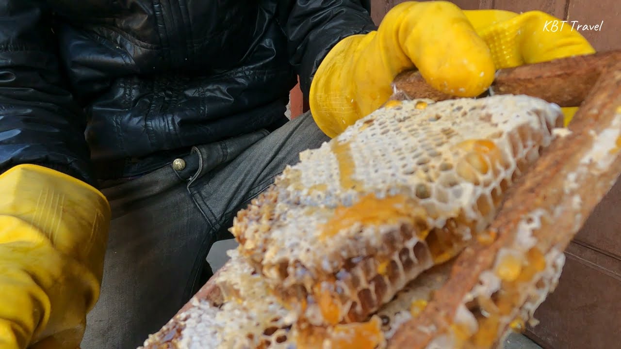 First time; hunting honey in mountain village | hunting honey in Nepal ...