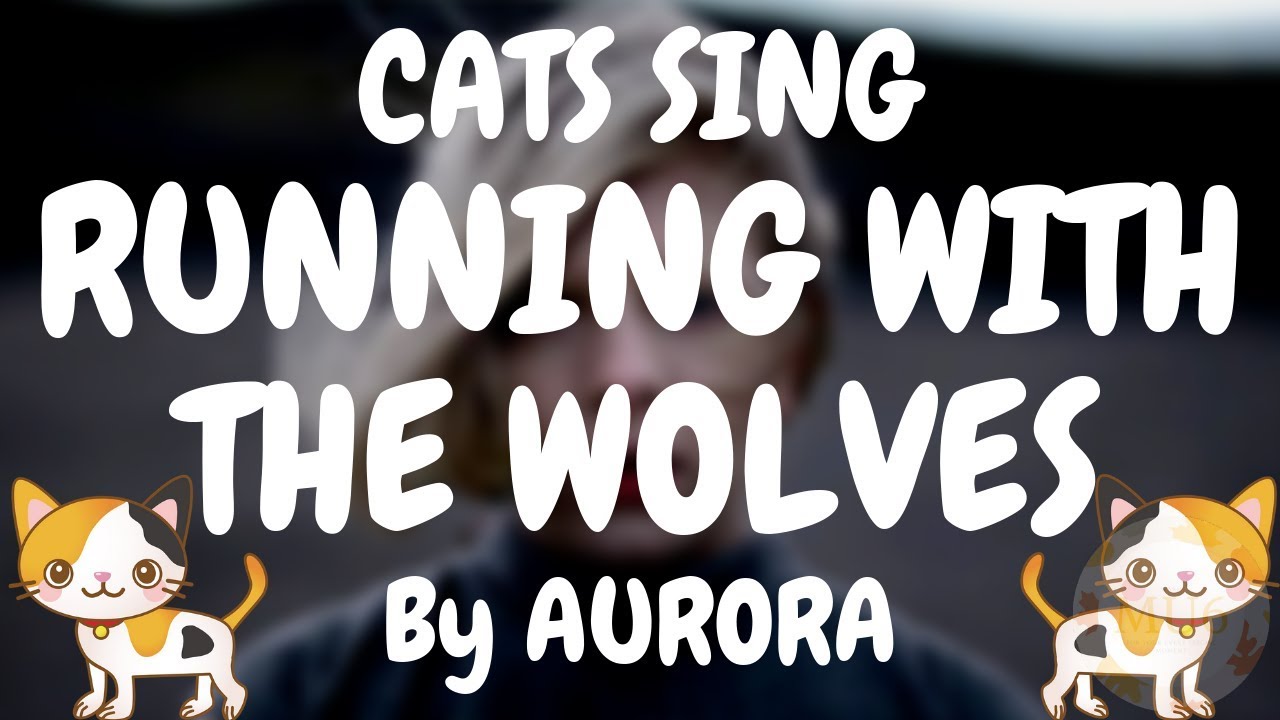 Cats Sing Running With The Wolves by AURORA | Cats Singing Song - YouTube