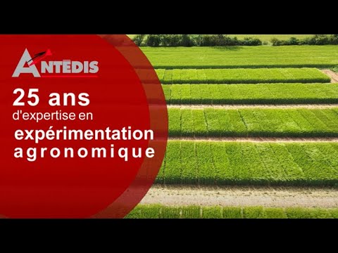 Présentation d' Antedis : Leader français de l'Expérimentation ...