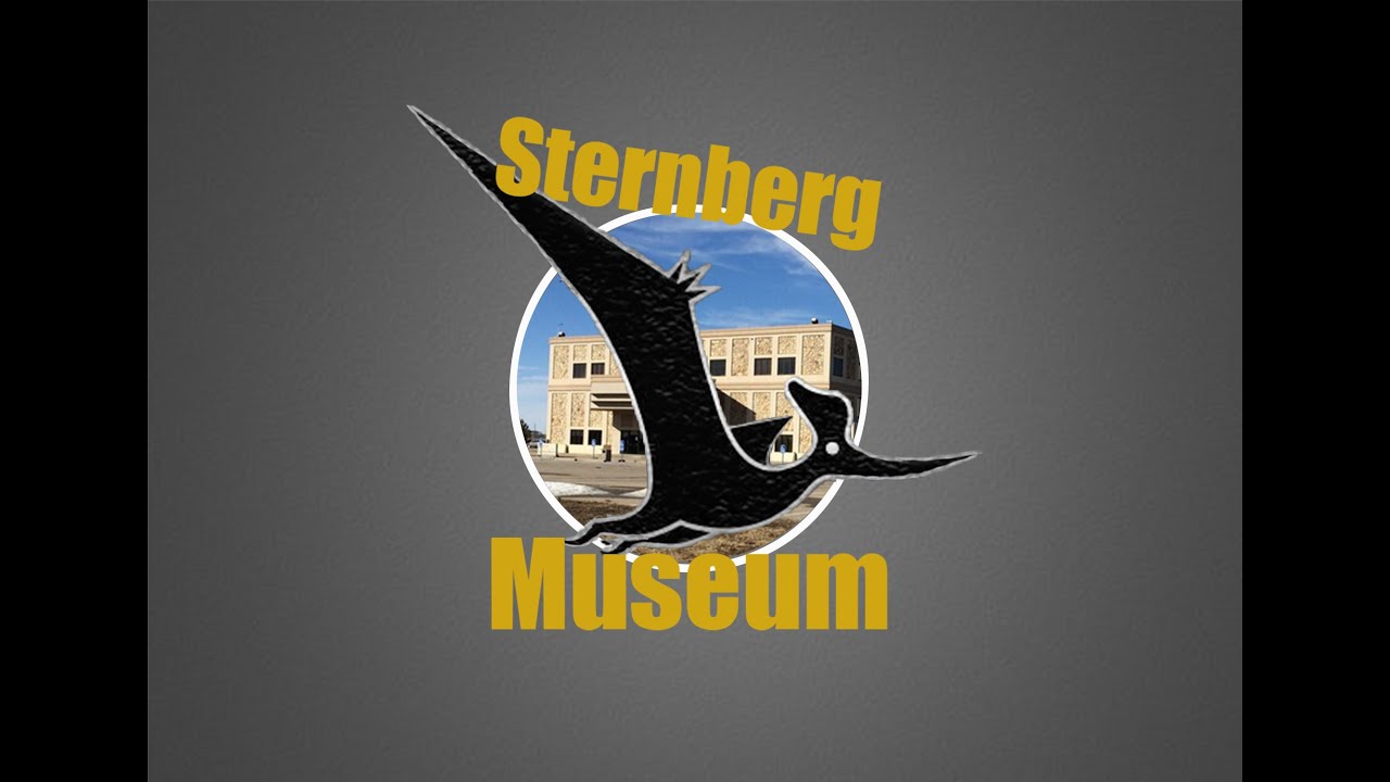 Sternberg Museum: A Documentary - YouTube