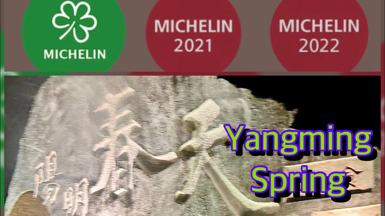 Yangming Spring Creative Vegetarian Cuisine ONE Michelin Star Michelin ...