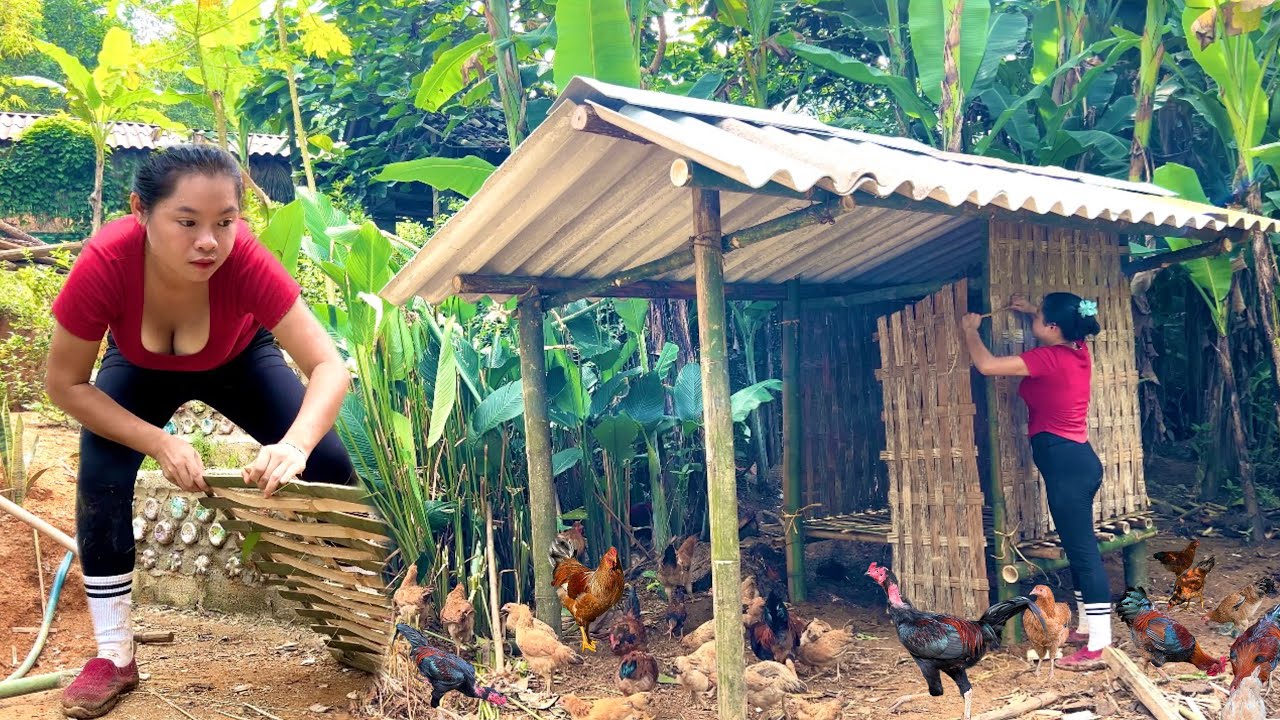 Building A Chicken House For Raise Chicken - Create A Clean Farm ...