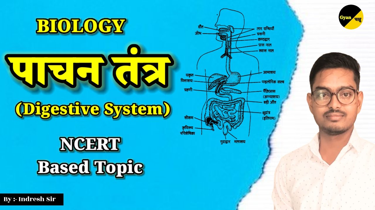 पाचन तंत्र || Digestive System || 💥 Biology Based On NCERT By :- Gyan ...