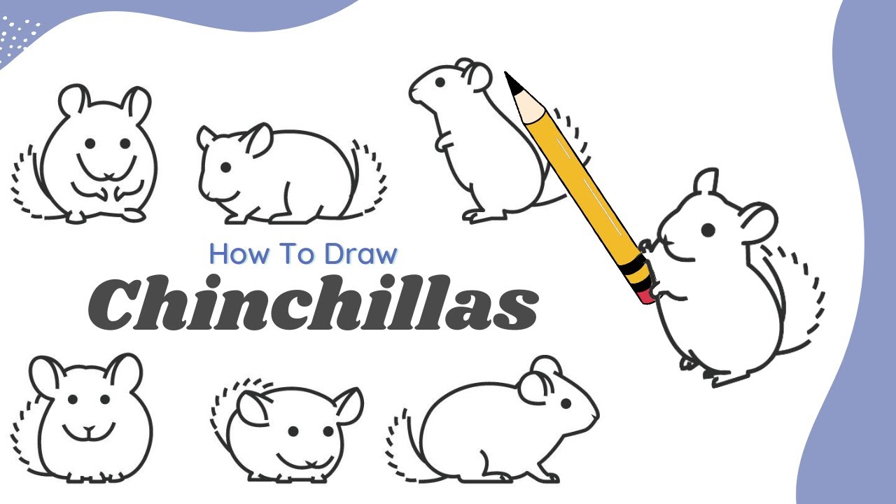 Chinchilla Doodles! Things to Draw When Bored Easy - YouTube