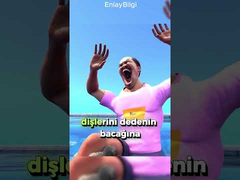 😱🐊 Genç Kız Timsah Saldırısına Uğradı, Kahraman Dede Herkesi Şoke Etti! 💪👀