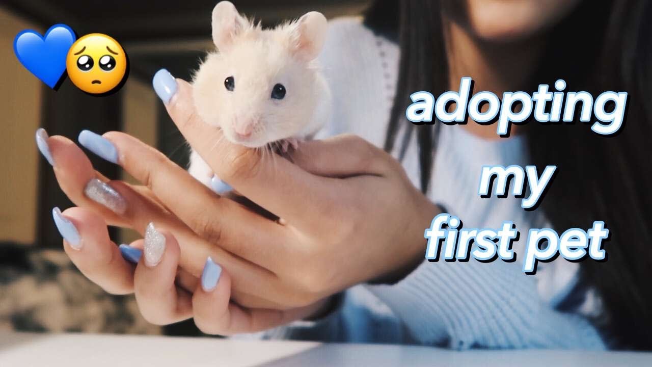 Adopting My First Pet! - YouTube