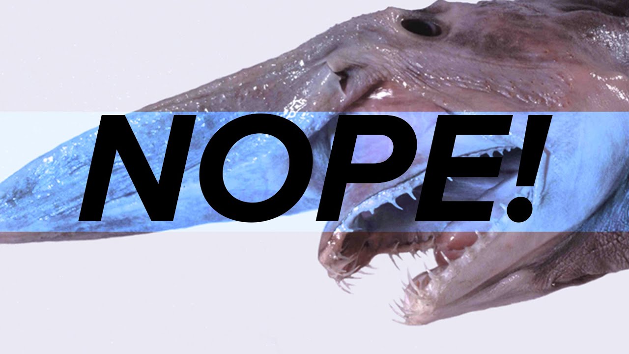 15 Photos That’ll Make You Say “NOPE!” - YouTube