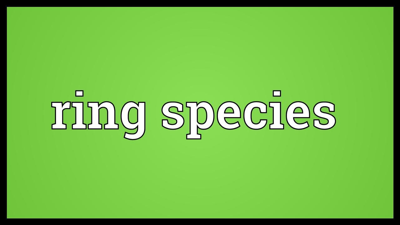 Ring species Meaning - YouTube