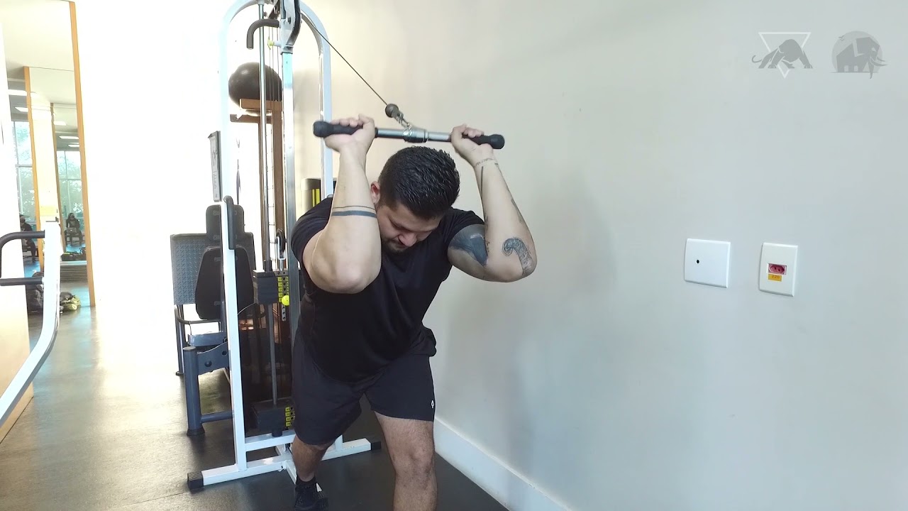 Overhead Straight Bar Triceps Extension - YouTube