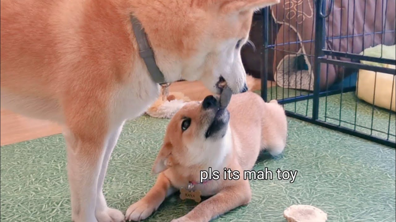 Suki Advances on Raya - YouTube