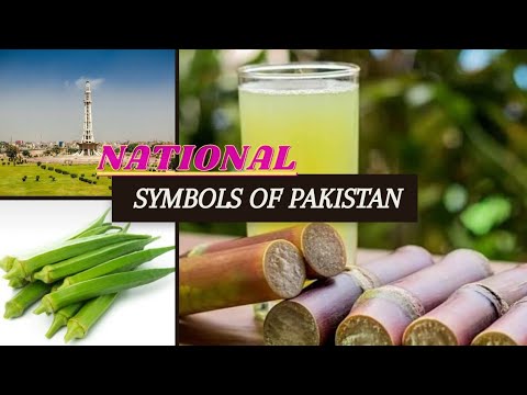 National symbols of Pakistan | Pakistan National things - YouTube