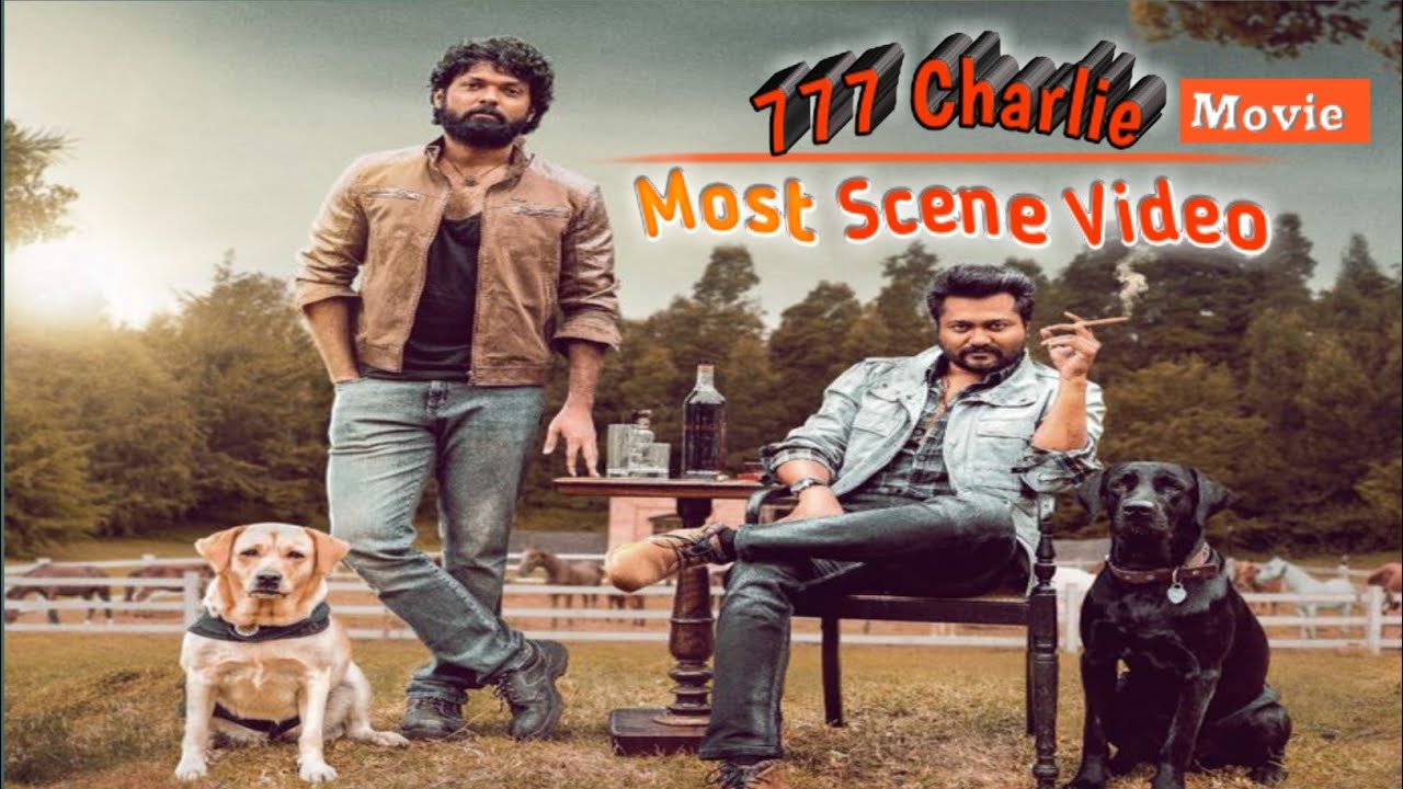777 Charlie movie most scene Video | South movie | Tamil movie | Hindi ...